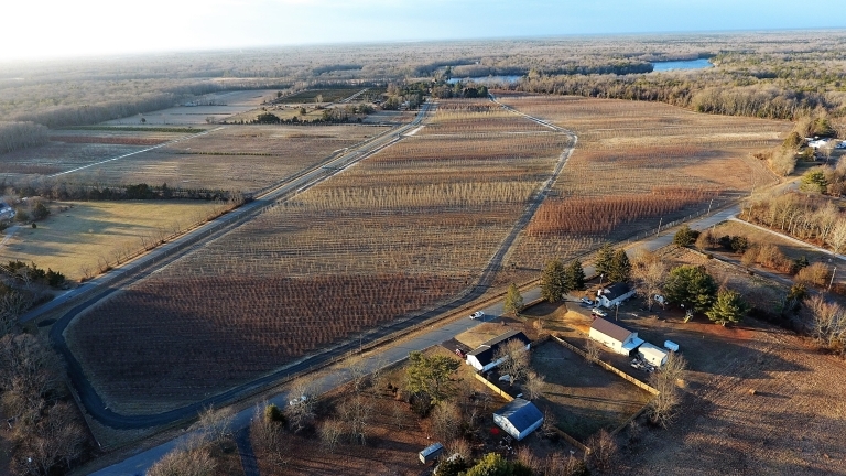 Real Estate Brokerage