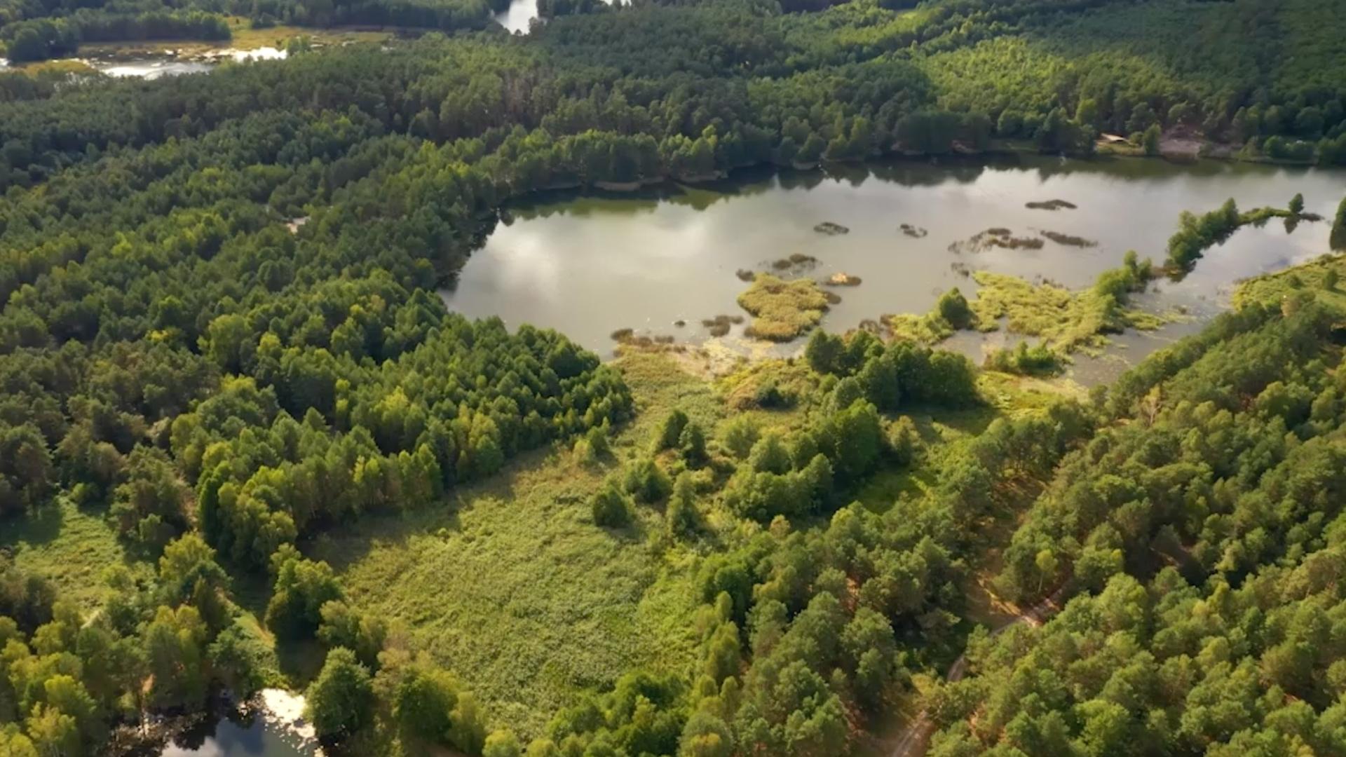 Home [www.theweeksgroup.com]